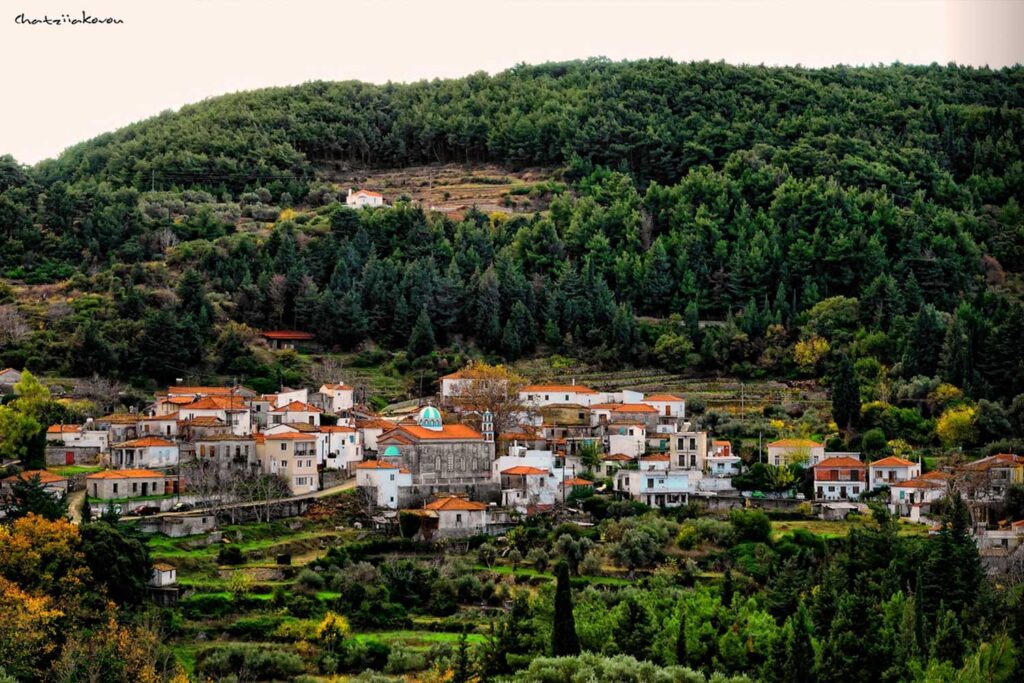 MW SAMOS - Municipality of Western Samos - Δήμος Δυτικής Σάμου - M. W. S.