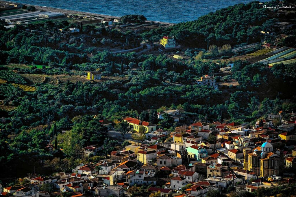 MW SAMOS - Municipality of Western Samos - Δήμος Δυτικής Σάμου - M. W. S.
