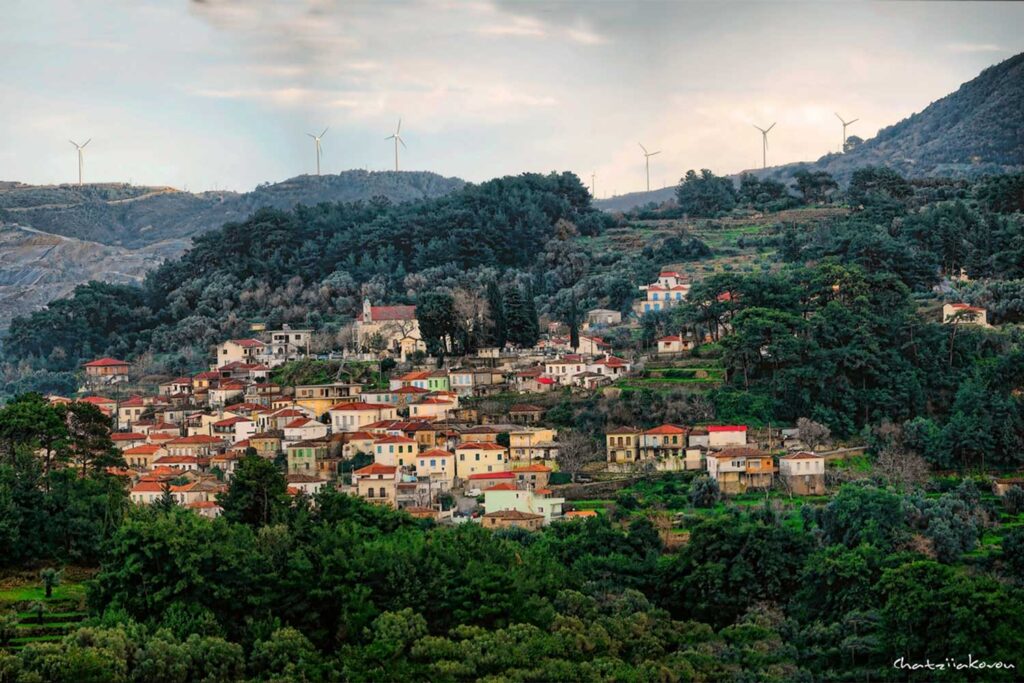 MW SAMOS - Municipality of Western Samos - Δήμος Δυτικής Σάμου - M. W. S.