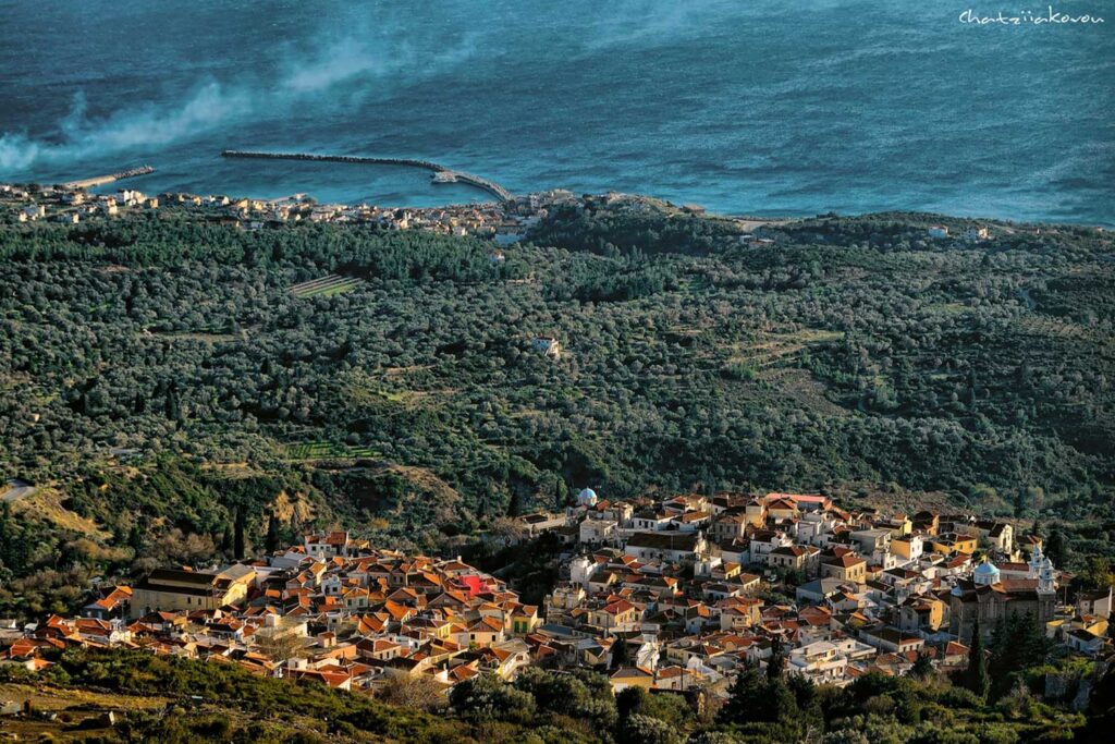 MW SAMOS - Municipality of Western Samos - Δήμος Δυτικής Σάμου - M. W. S.